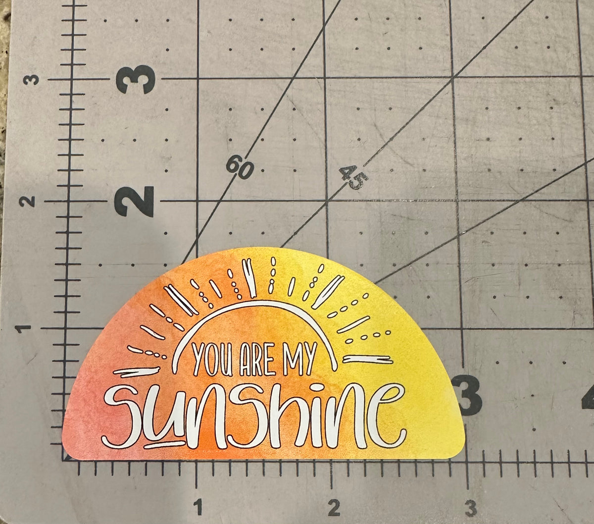 You Are My Sunshine (Repositionable Vinyl Decal Sticker) – The ...